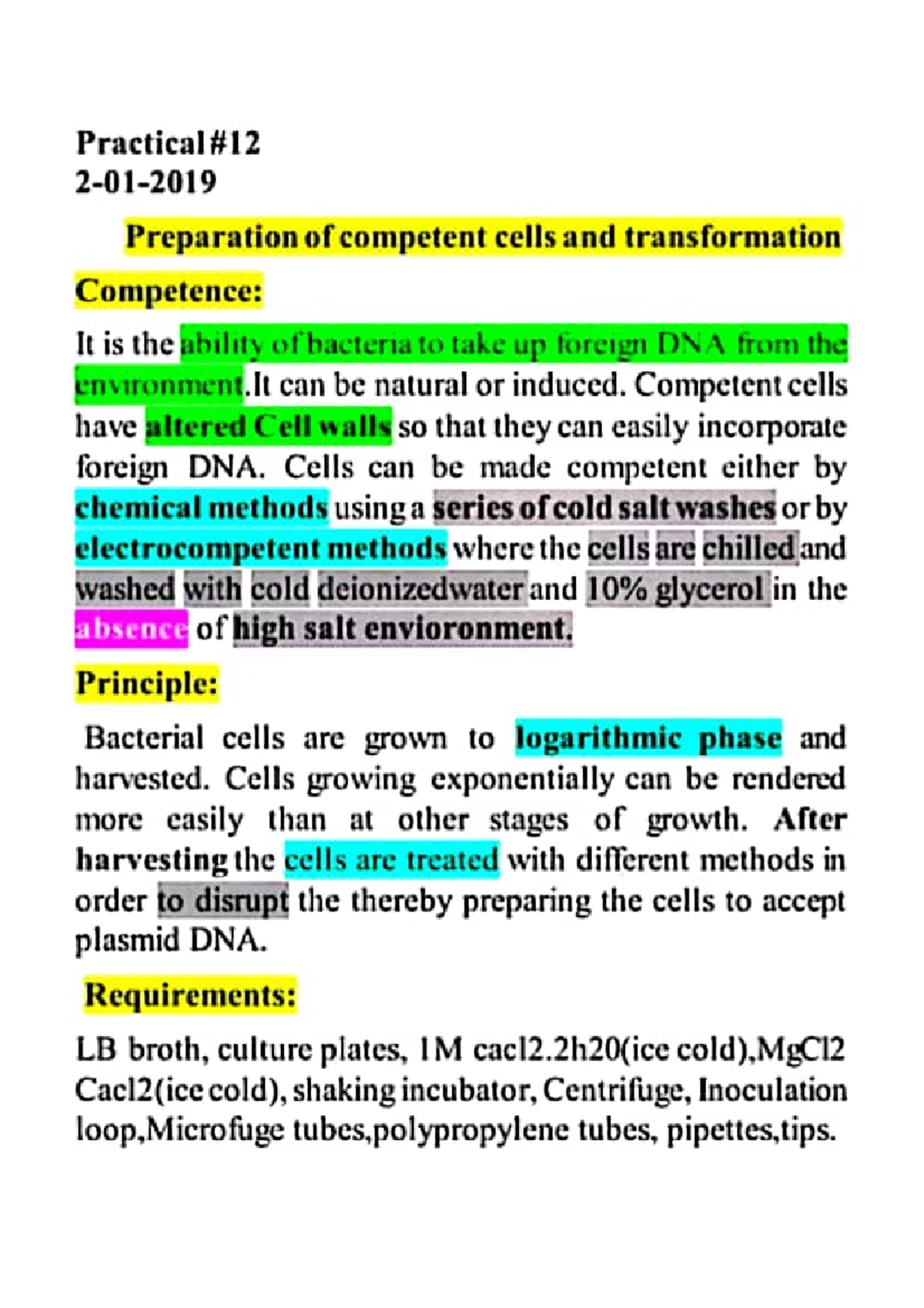 Competent Cell - Lehninger Principles of Biochemistry - Molecular ...