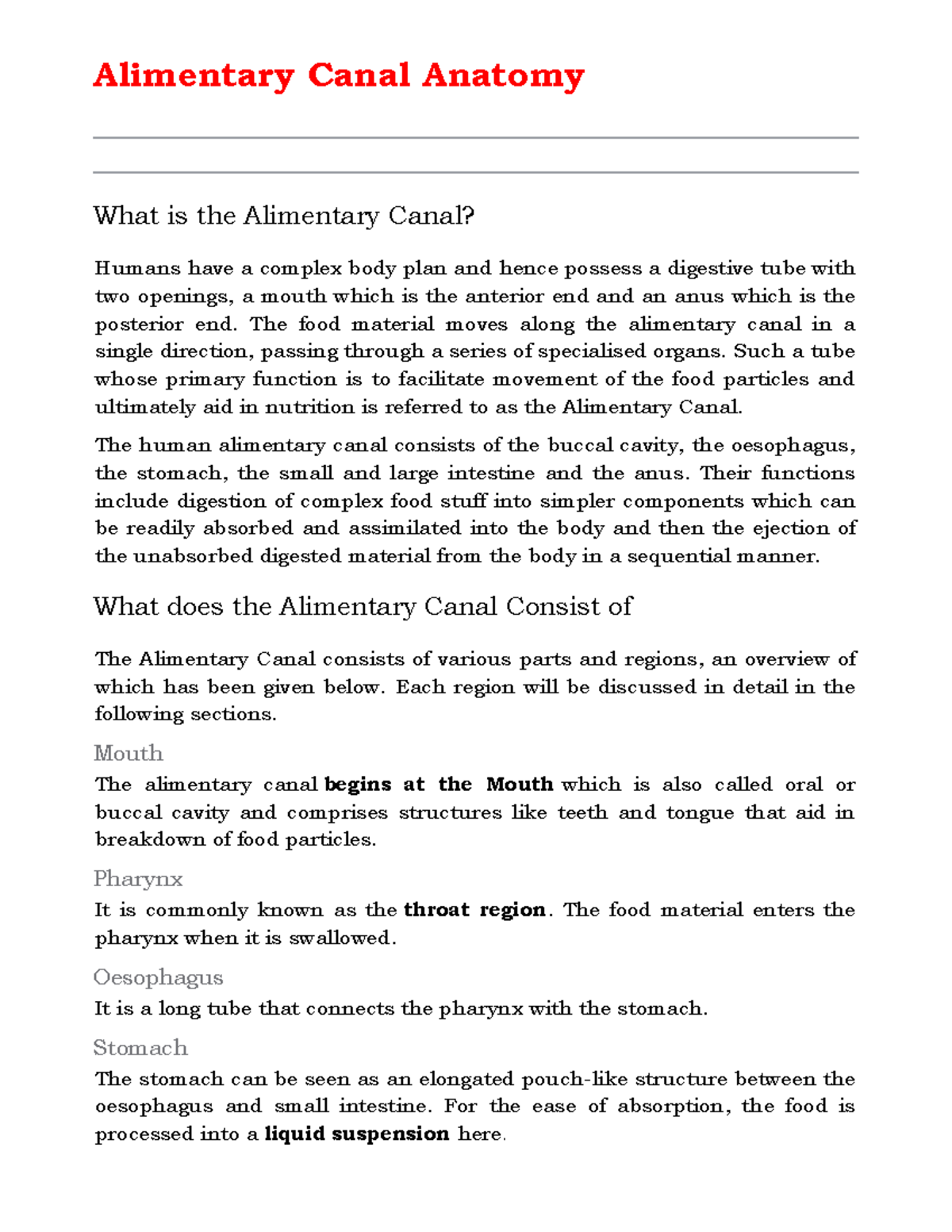 Alimentary Canal Anatomy The Food Material Moves Along The Alimentary Canal In A Single
