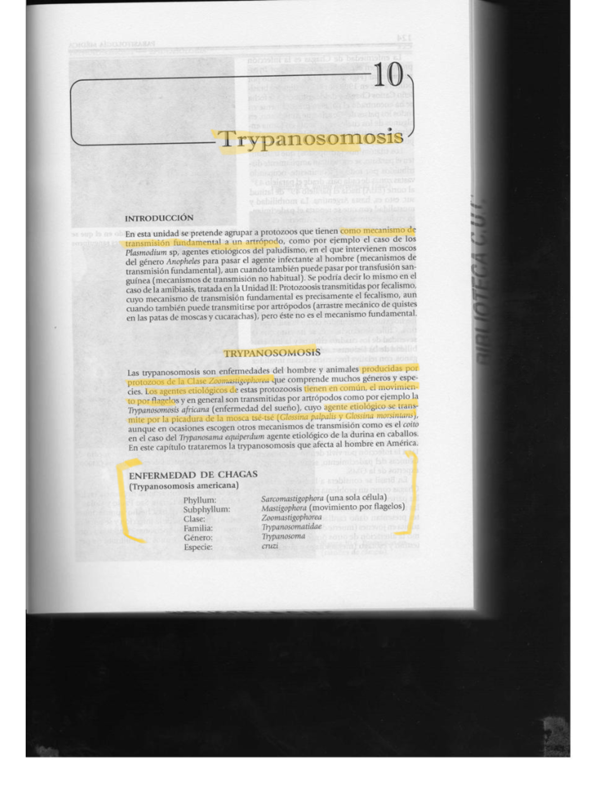 Tae lara.pdf 2 - Capitulo de libro de parasitologia -Trypanosomosis INTRODUCCIÓN En esta unidad ...