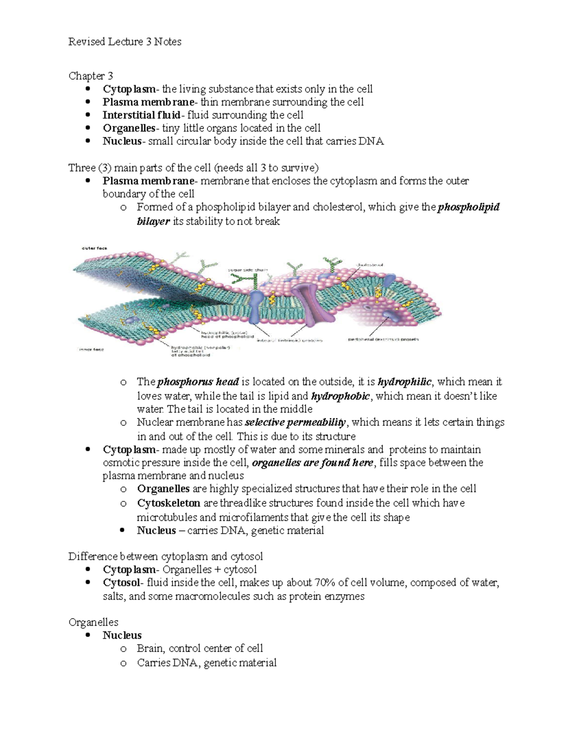 Chapter 3 - notes - Chapter 3 Cytoplasm- the living substance that ...