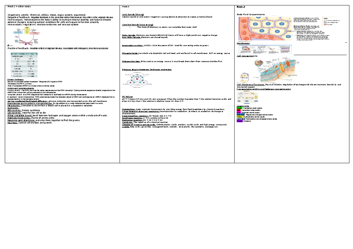 HUBS 1403 Cheat Sheet - Week 1 + other notes Organisms Levels: Chemical ...