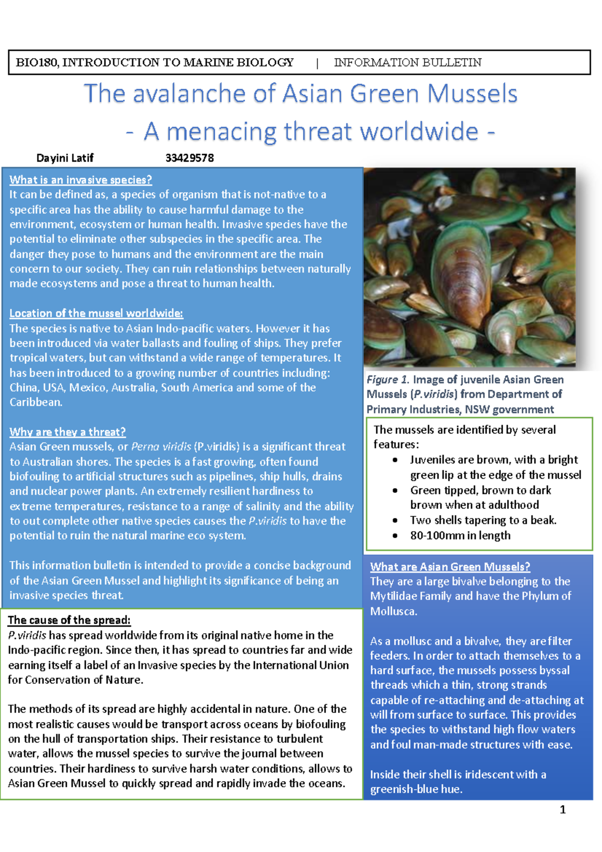 Asian Green Mussels: A Menacing Invasive Species Threat - Studocu