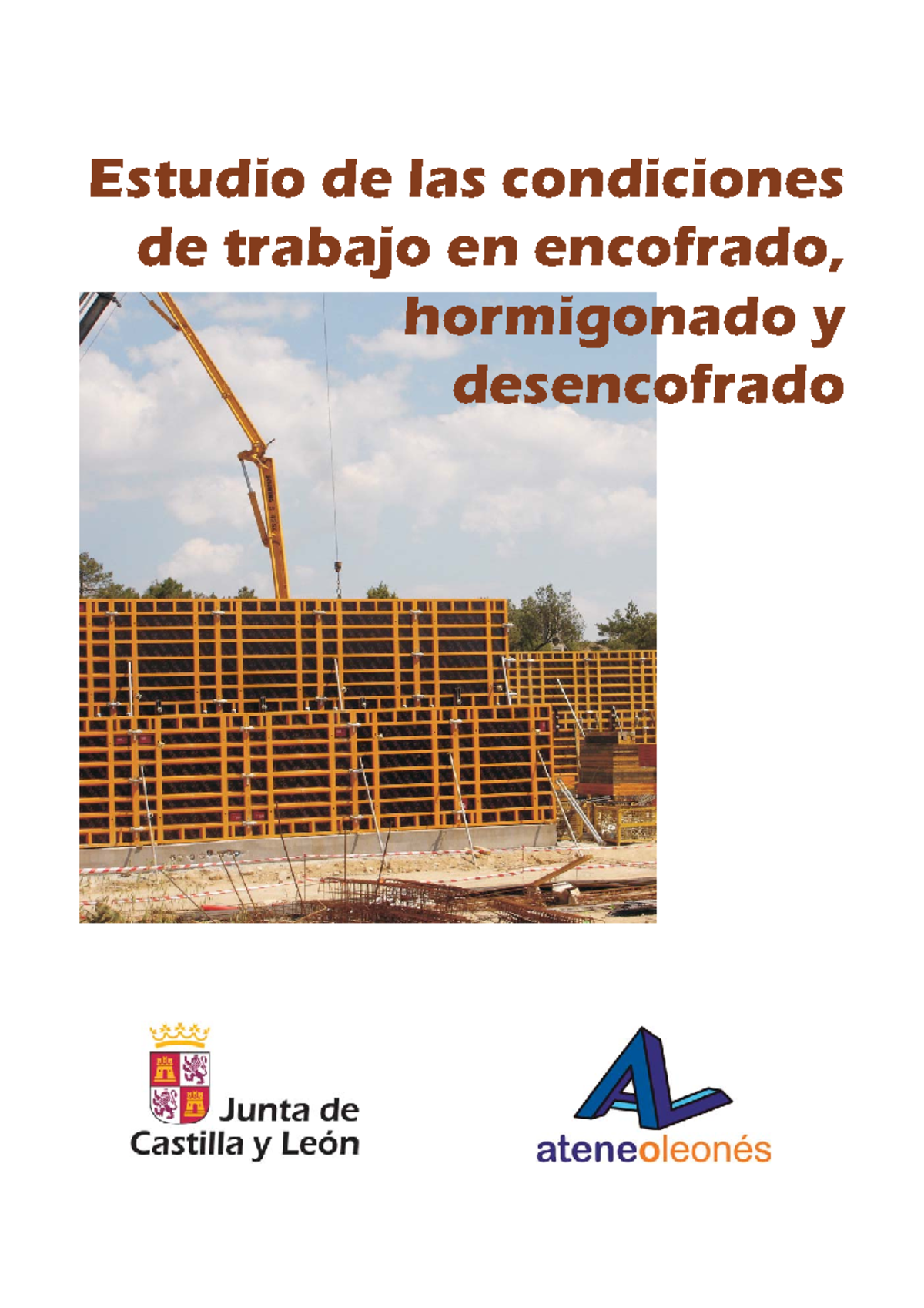 Encofrados para concreto ingeniería civil. - Estudiodelascondiciones ...