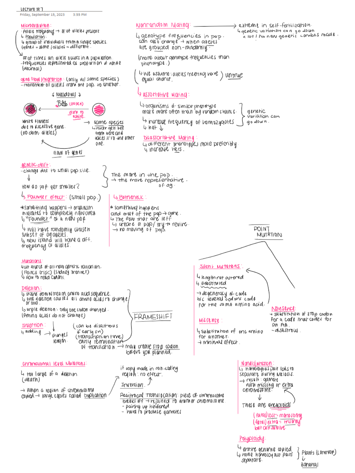 Lecture 7 Notes - BIO 200LLB - Studocu