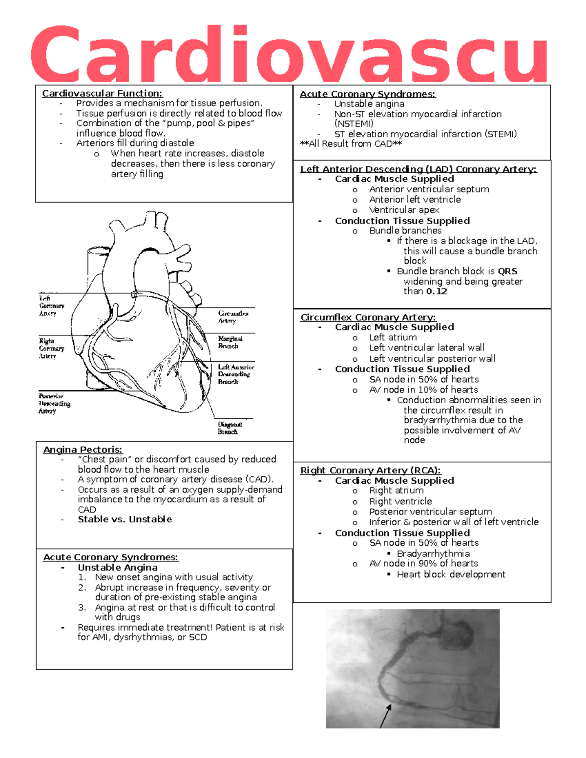 Cardiac notes - Cardiovascu Cardiovascular Function: - Provides a ...