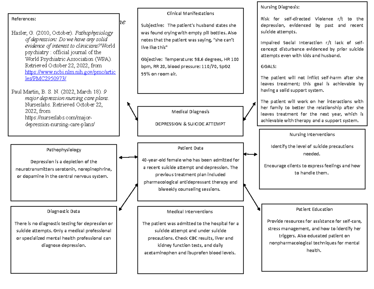 Li Na Chen concept map - Student’s Name Rasmussen NPR Concept Plan Date ...