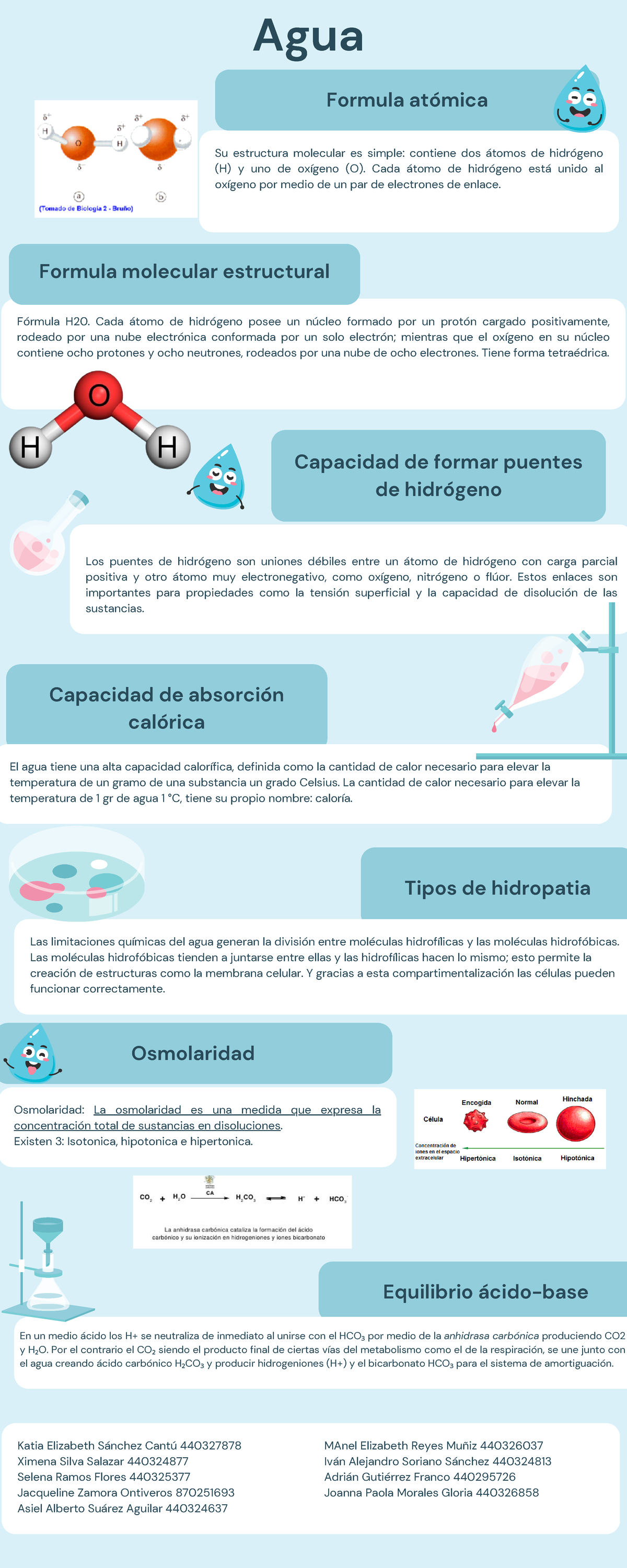 Infografía Agua - Actividad en clase - Su estructura molecular es ...