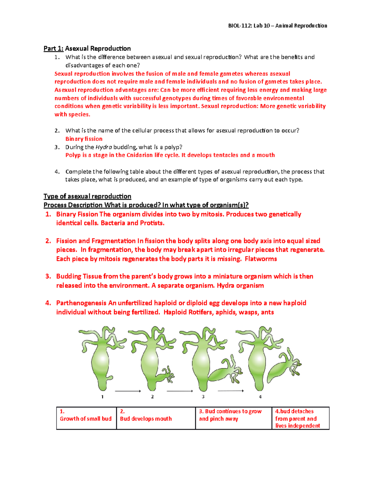 BIOL-112 Lab 10 Worksheet Animal Reproduction - BIOL-112: Lab 10 ...