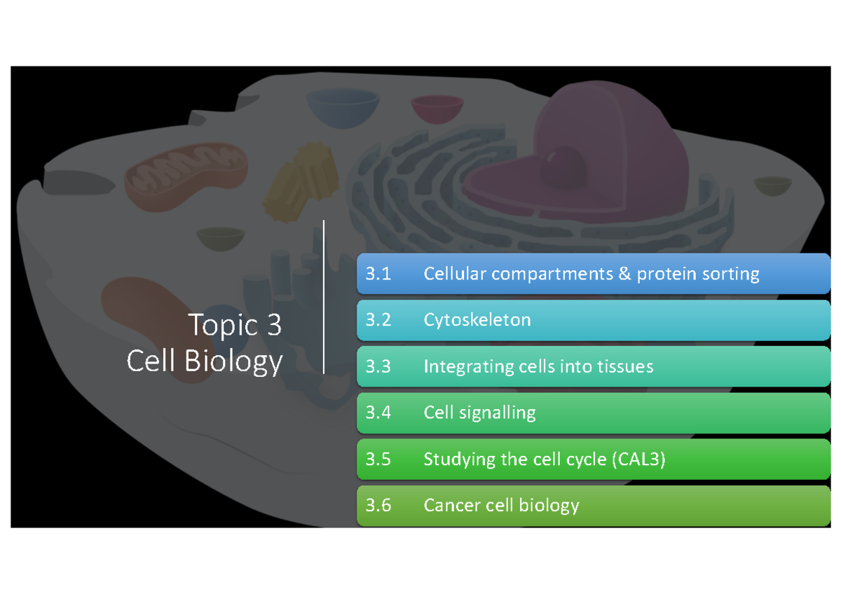 Cellular compartments protein Sorting - Topic 3 Cell Biology 3 Cellular ...