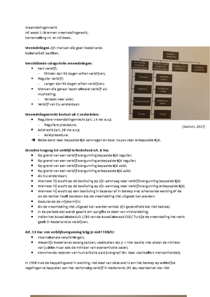 Vreemdelingenrecht - Vreemdelingenrecht Les 3 3 vreemdelingenwet ...