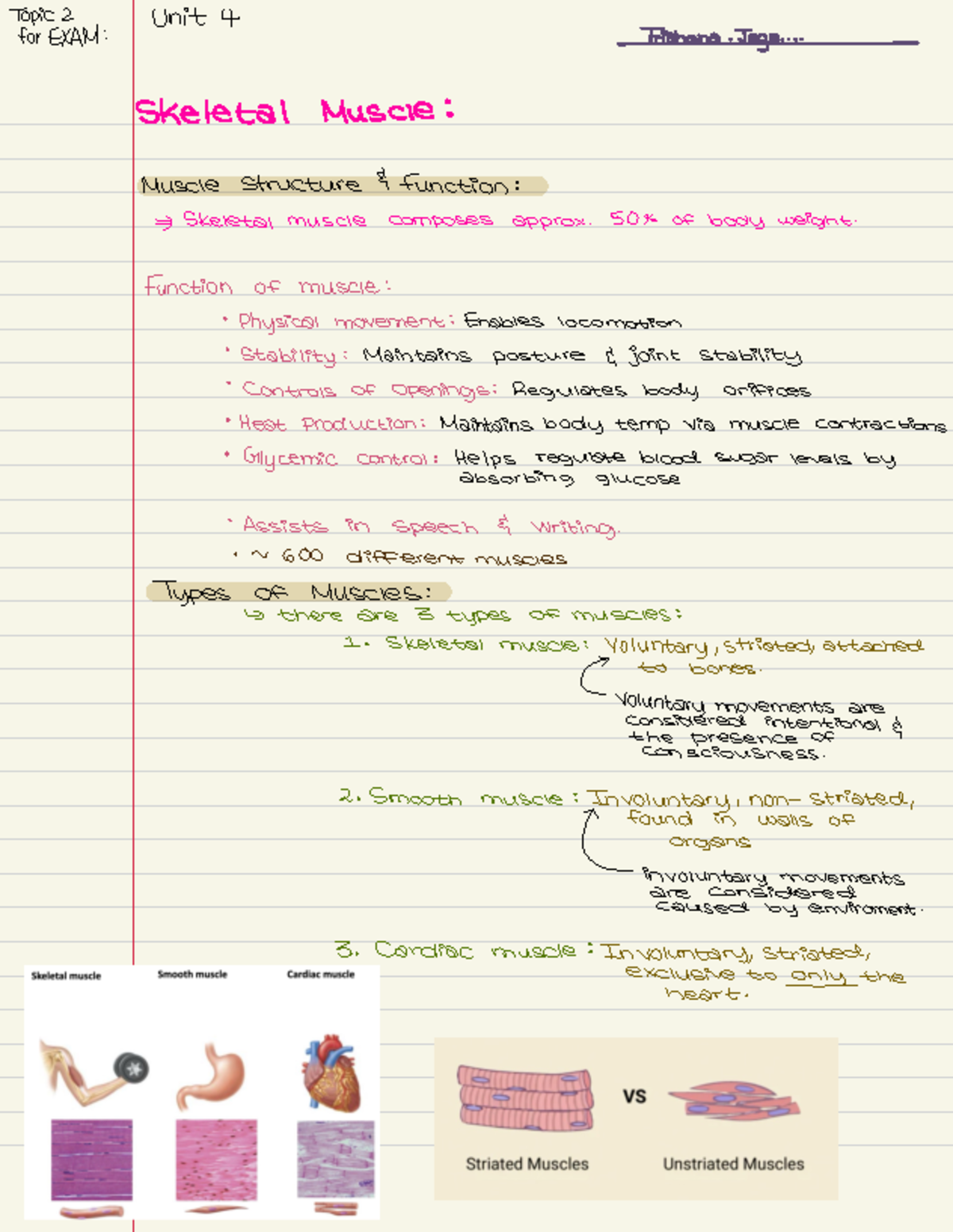 Anatomy Notes- University of Waterloo - Topic 2 Unit 4 for EXAM ...