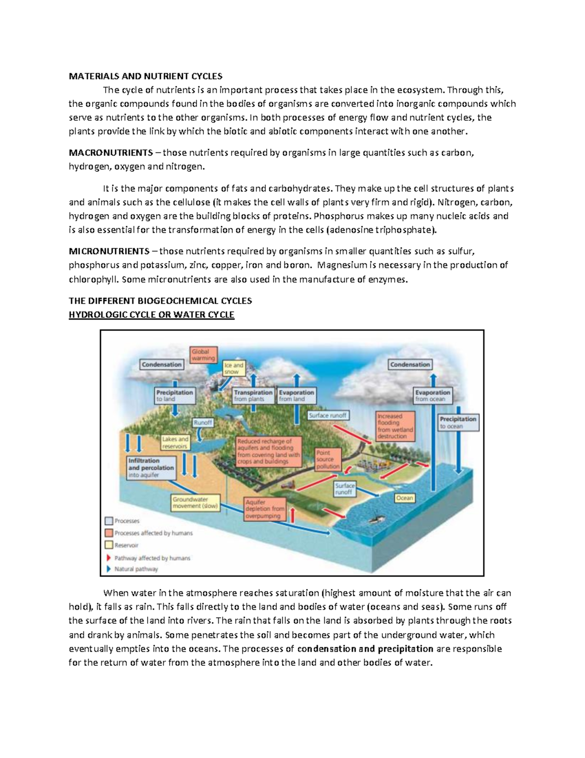 Biogeochemical Cycles - MATERIALS AND NUTRIENT CYCLES The cycle of ...