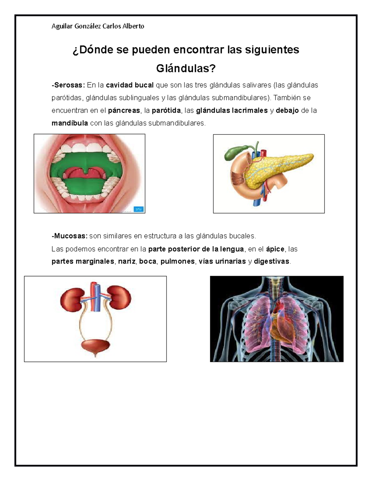 Glandulas serosas, mucosas mixtas y esteroideas - Aguilar González ...