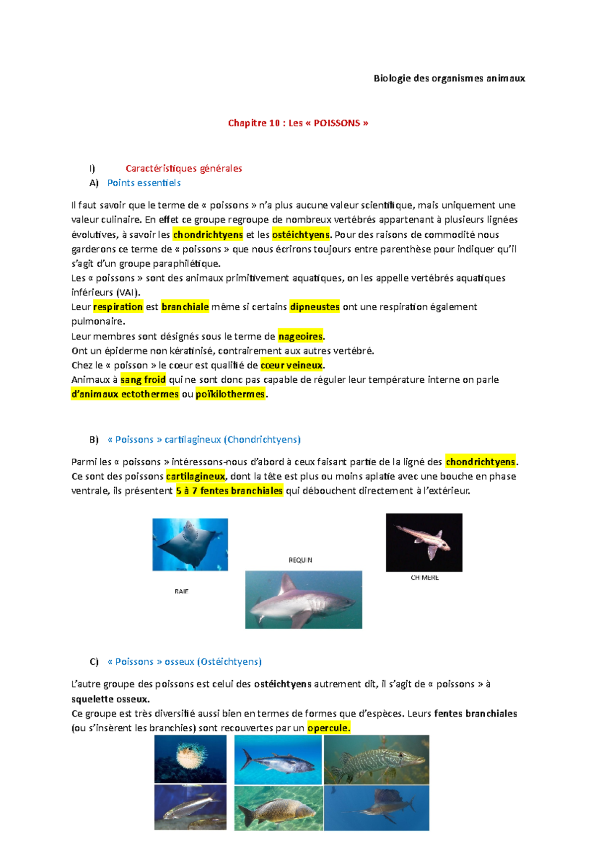 Chapitre 10 de Biologie des organismes animaux : Les poissons ...