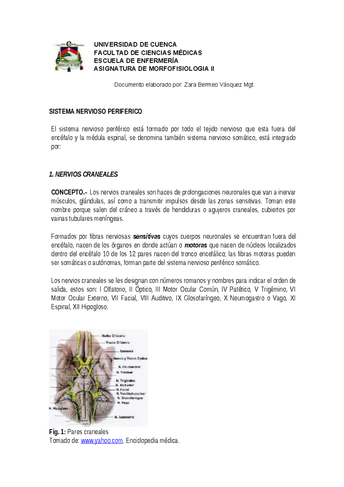 Nervios Craneales Anatomia Fisiologia Y Valoracion Morfozb - UNIVERSIDAD DE CUENCA FACULTAD DE ...