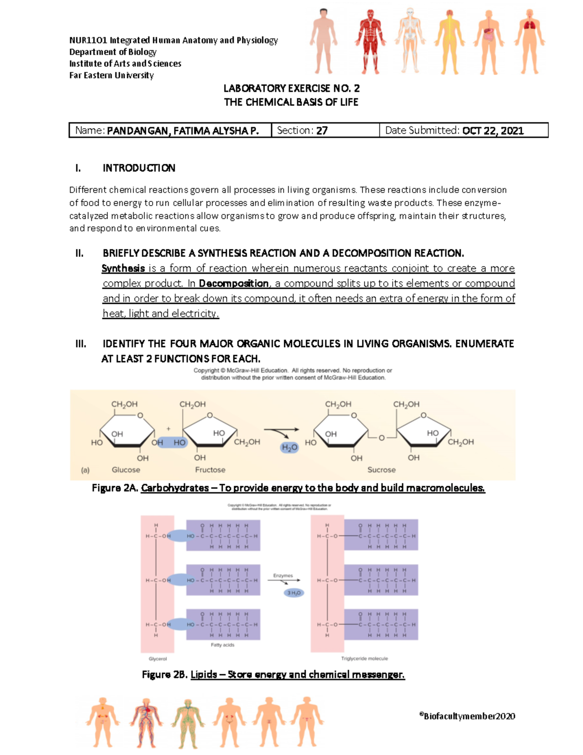 The Chemical Basis of Life - Laboratory Exercise (Anatomy and Functions ...