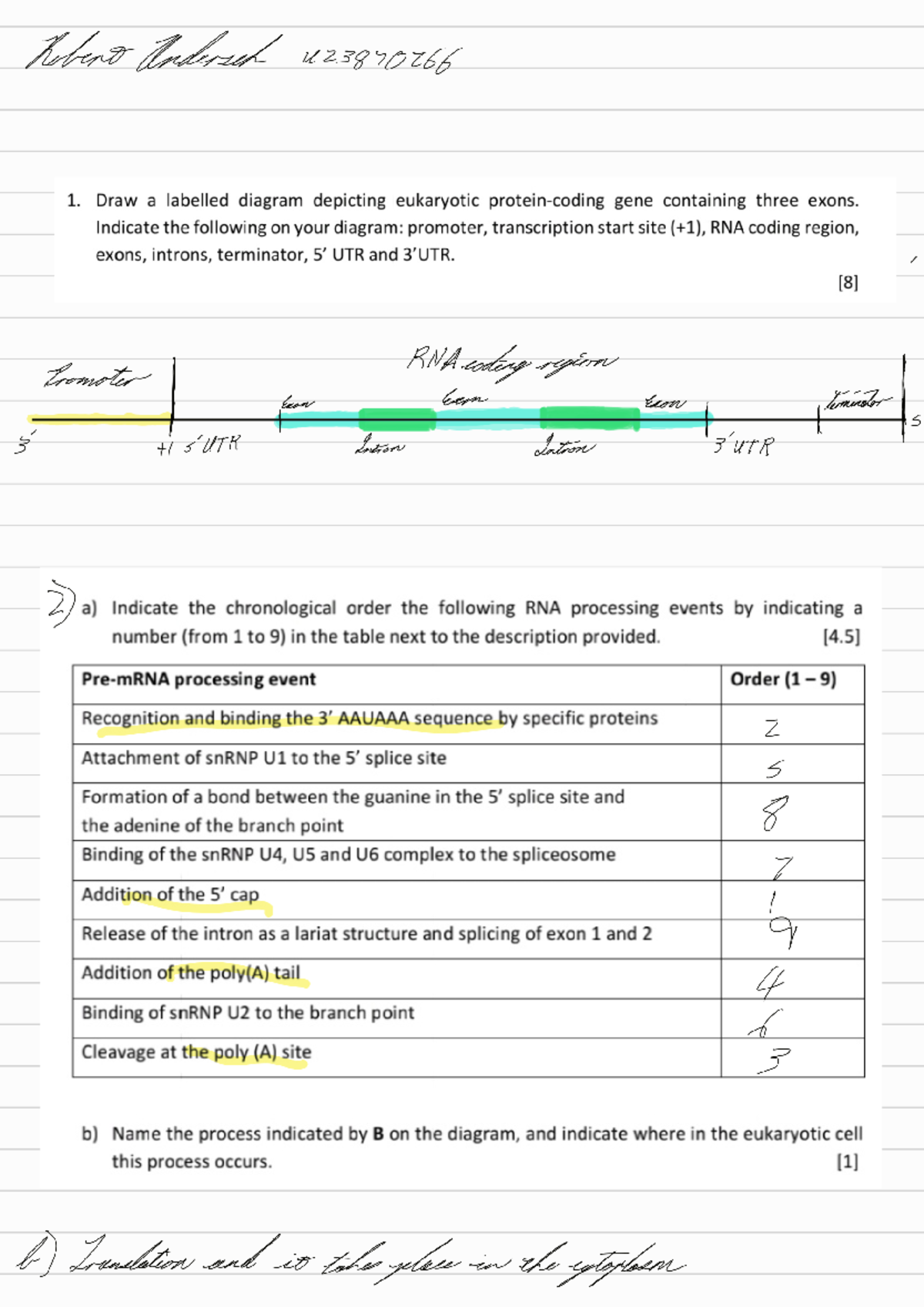 Tutorial 3 SU4 -5 2040411 - Robert Underset 123870266 1. Draw a ...