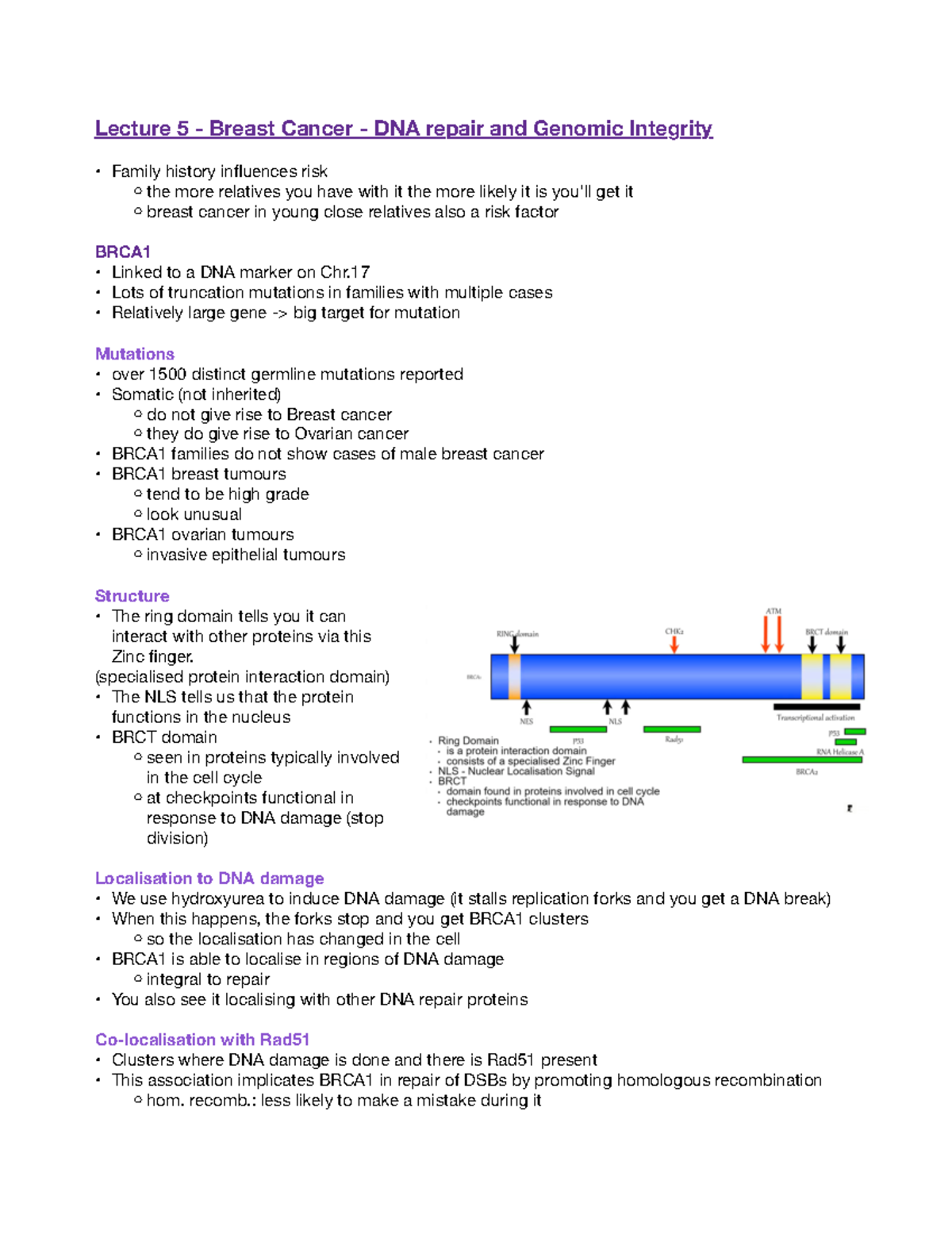 5. Breast cancer and DNA Repair - Lecture 5 - Breast Cancer - DNA ...
