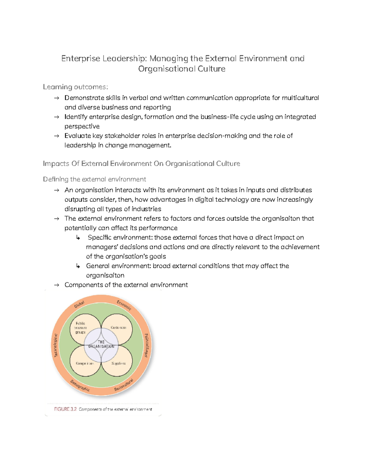 Enterprise Leadership Managing the External Environment and ...