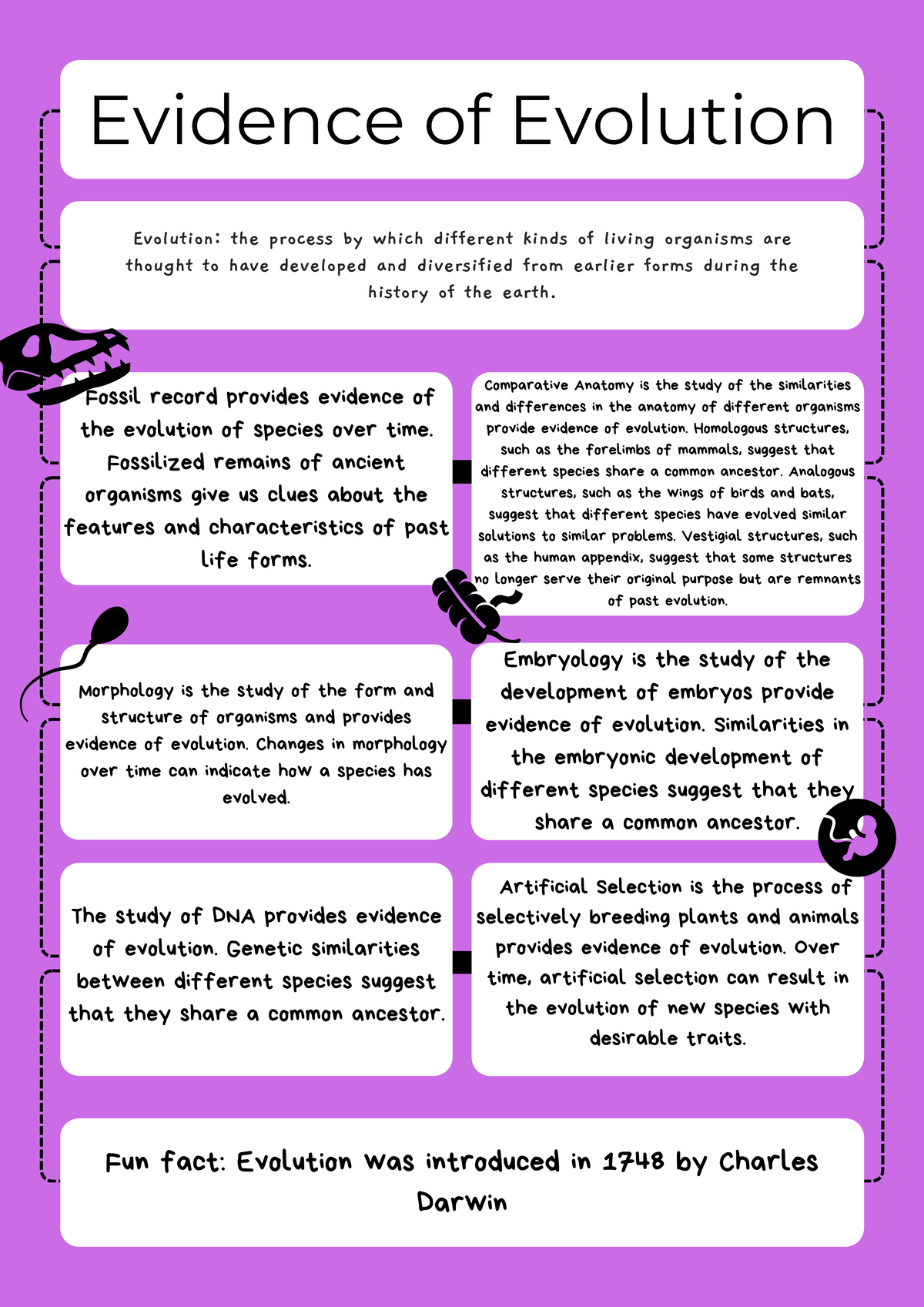 Evidence on Evolution One-pager - Fossil record provides evidence of ...