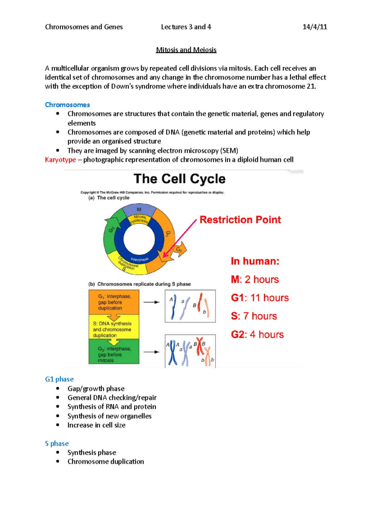 Mitosis and Meiosis - Lecture notes 3-4 - Chromosomes and Genes ...