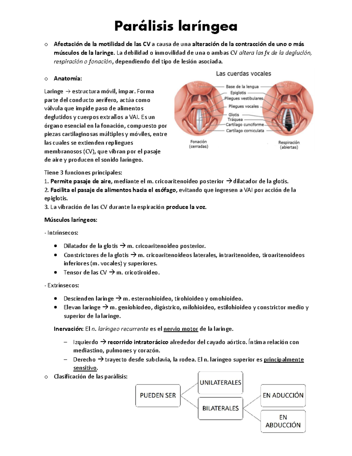Paralisis laringea - Parálisis laríngea o Afectación de la motilidad de ...