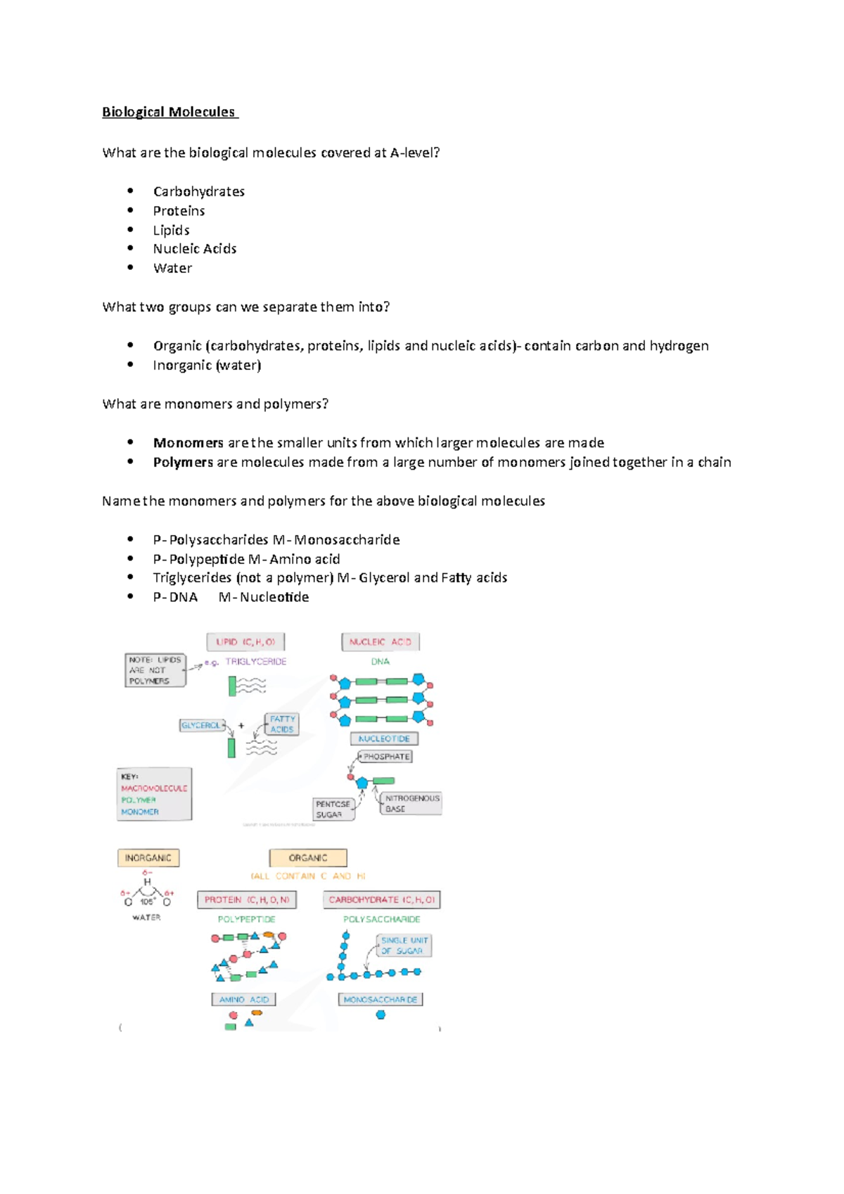 Biological Molecules- Carbohydrates - Biological Molecules What are the ...