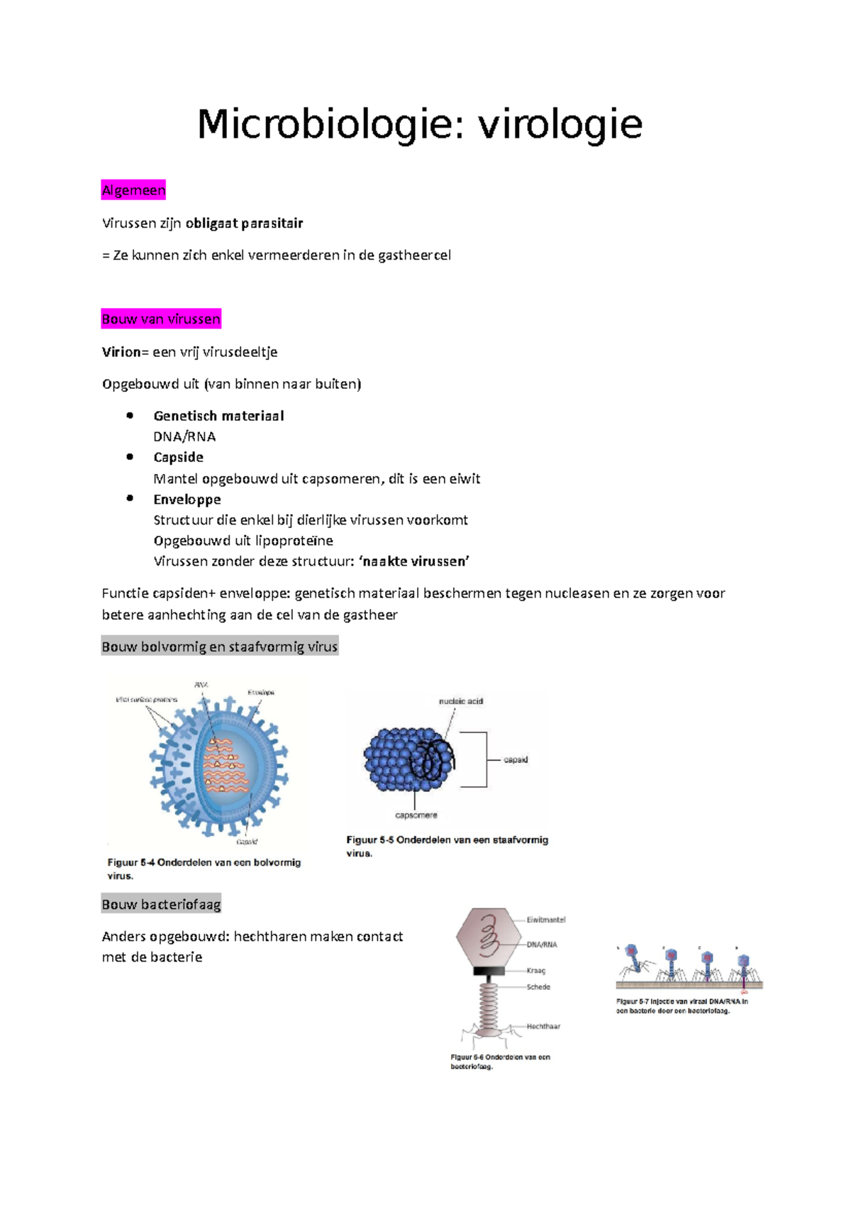 5. Virologie - samenvatting - Microbiologie: virologie Algemeen ...