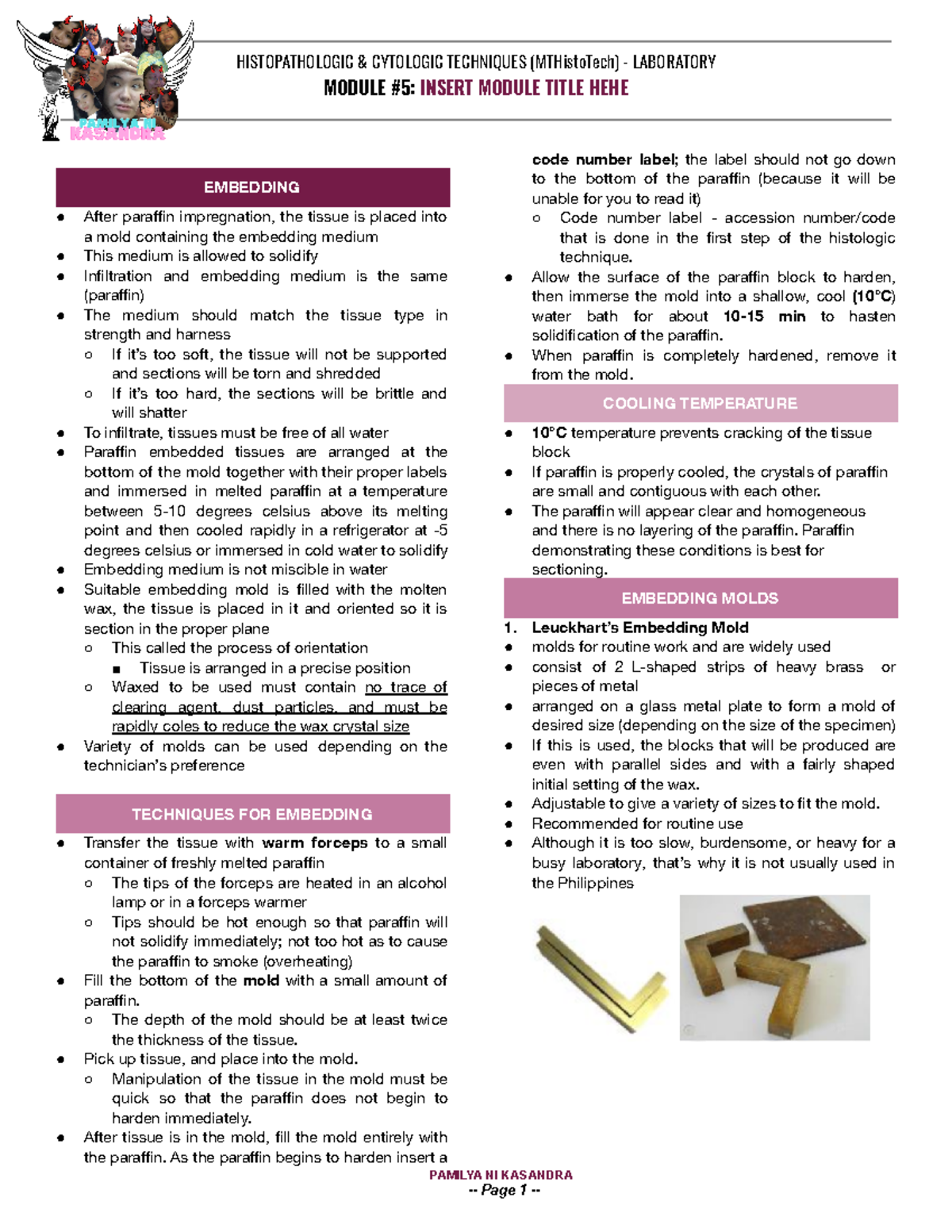 Histotech LAB M5 - HISTO - HISTOPATHOLOGIC & CYTOLOGIC TECHNIQUES ...