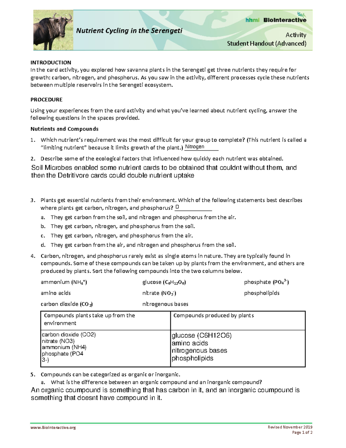 Nutrient Cycling-Student HO-adv-act 0 - Activity Student Handout ...