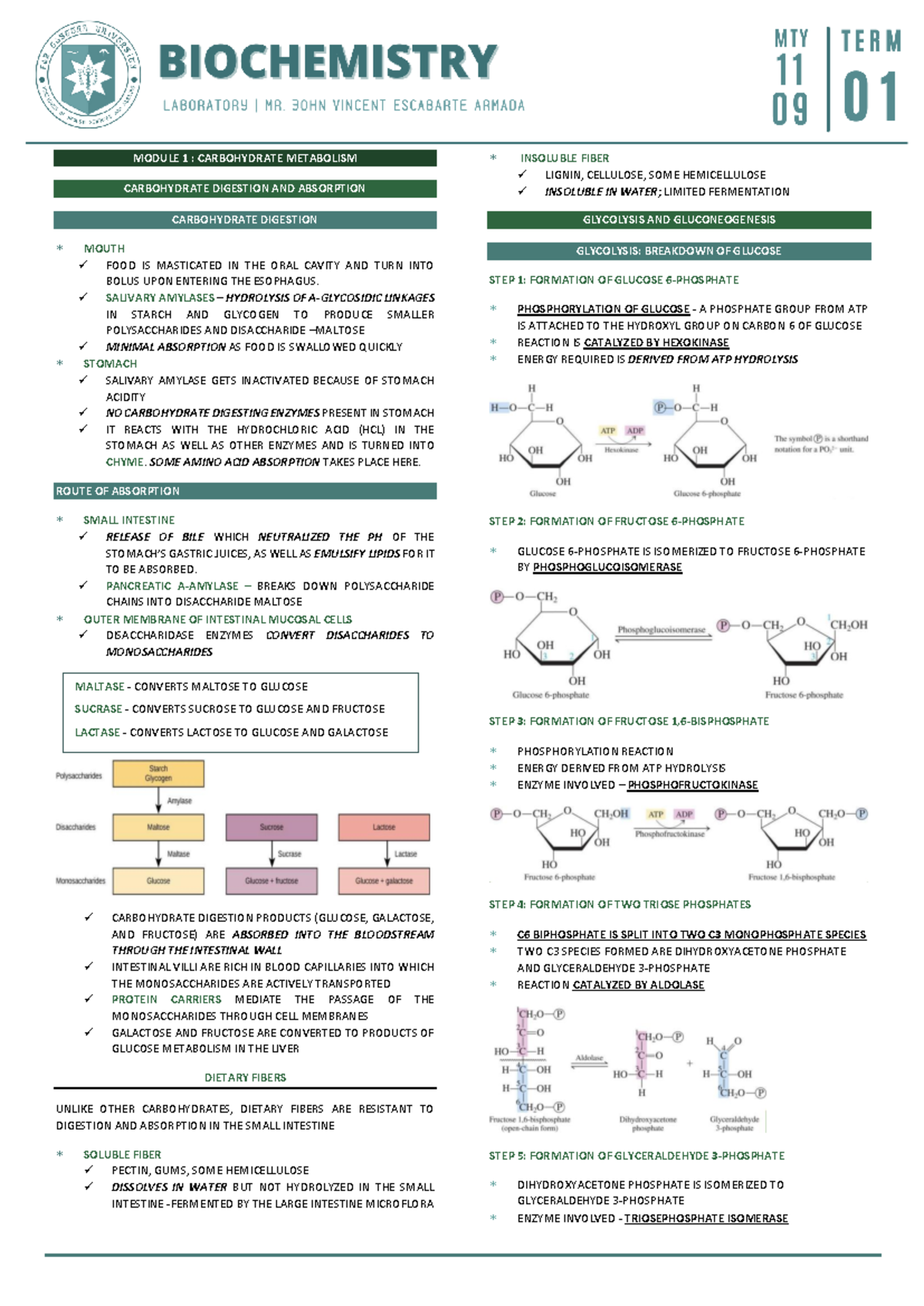 Module 1 Carbohydrates - MODULE 1 : CARBOHYDRATE METABOLISM ...