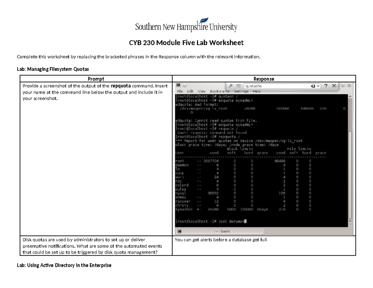 CYB 230 Module Five Lab Worksheet - CYB 230 Module Five Lab Worksheet ...