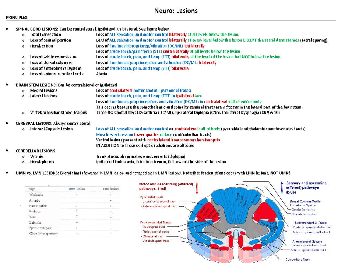 Neuro-Lesions anatomy and physiology - Neuro: Lesions PRINCIPLES SPINAL ...