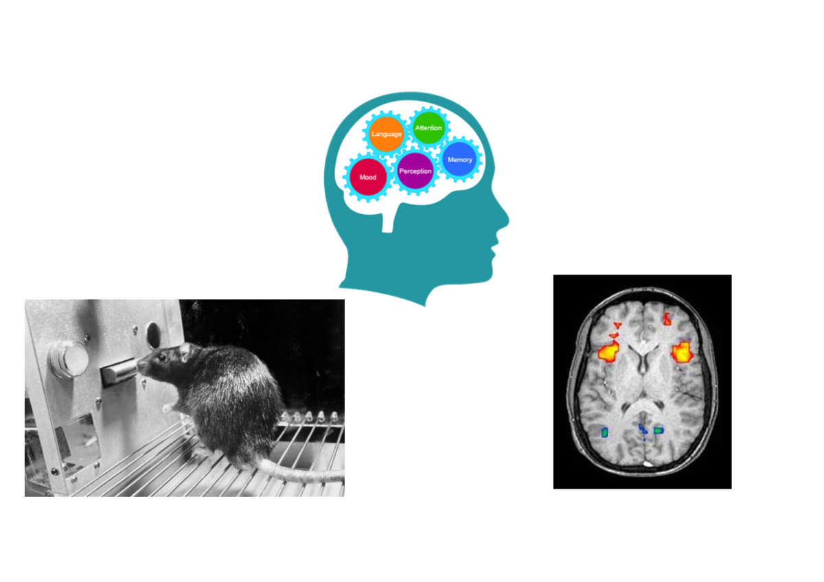 NEUR1020 M1 Behavourist Cognitive Biological - Origins of the ...