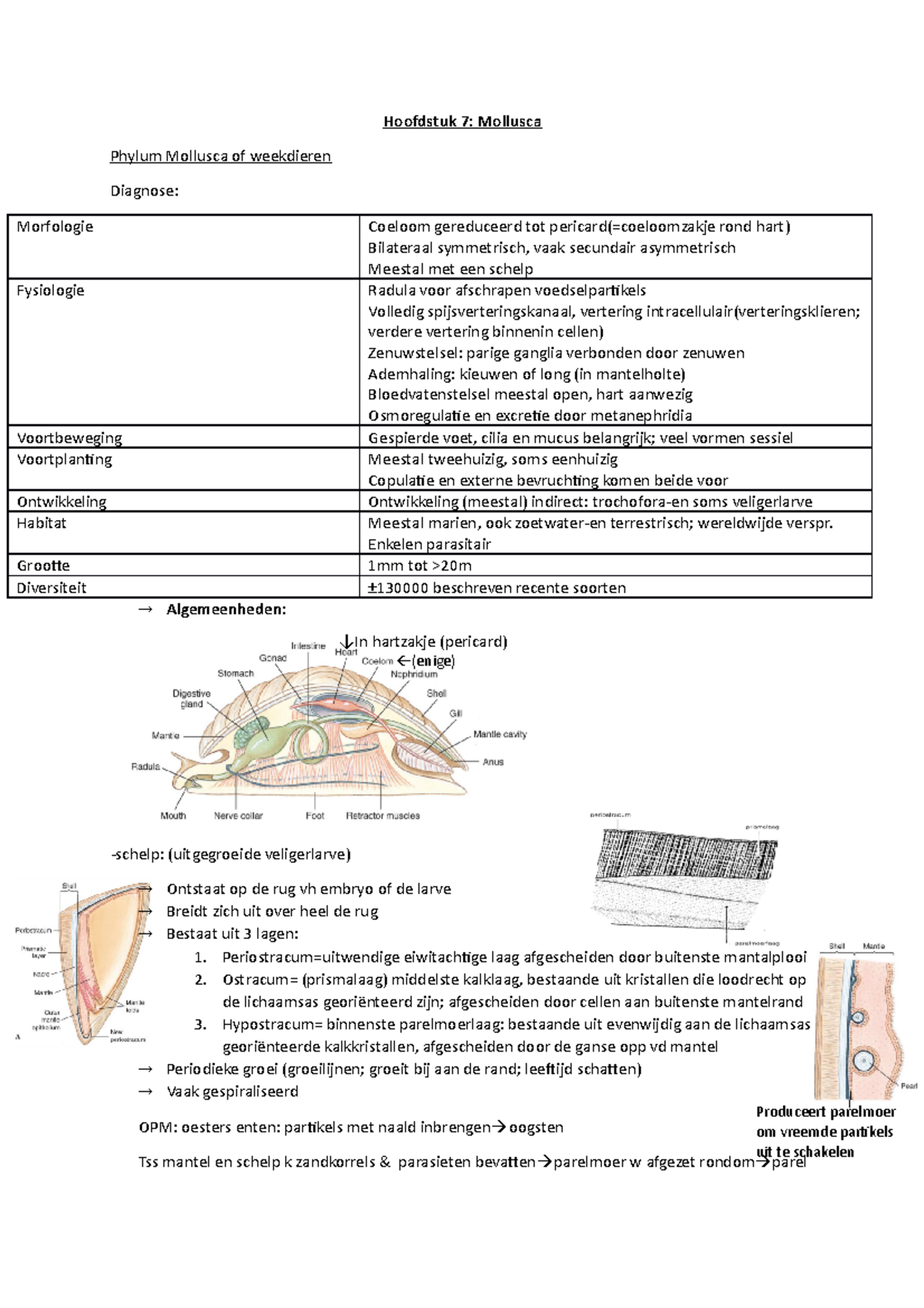 Bouwplannen dieren samenvatting hf 7 Mollusca - Hoofdstuk 7: Mollusca ...