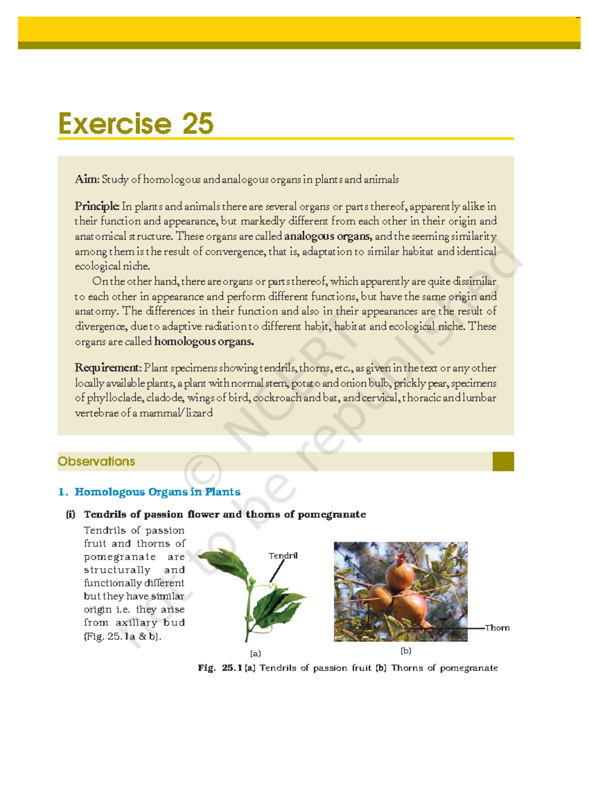 Lelm215 - Aim: Study of homologous and analogous organs in plants and ...