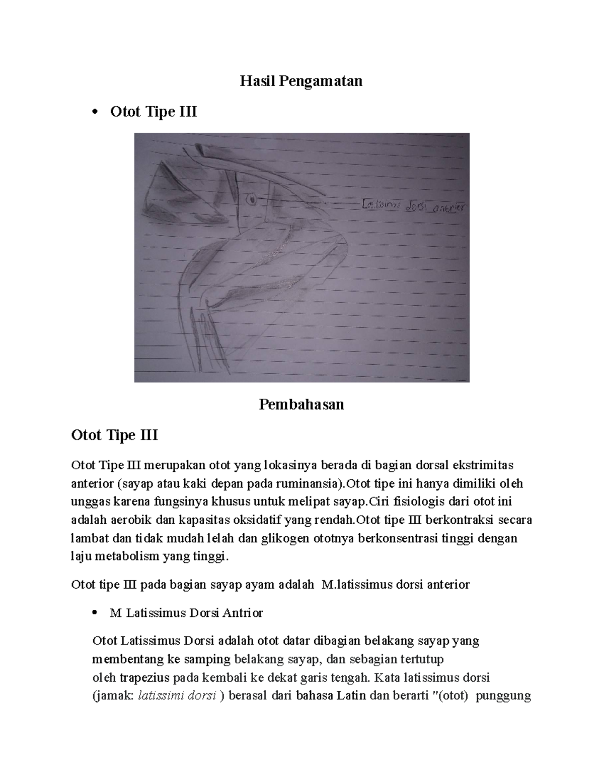 OTOT TIPE III PADA HEWAN - Hasil Pengamatan Otot Tipe III Pembahasan ...