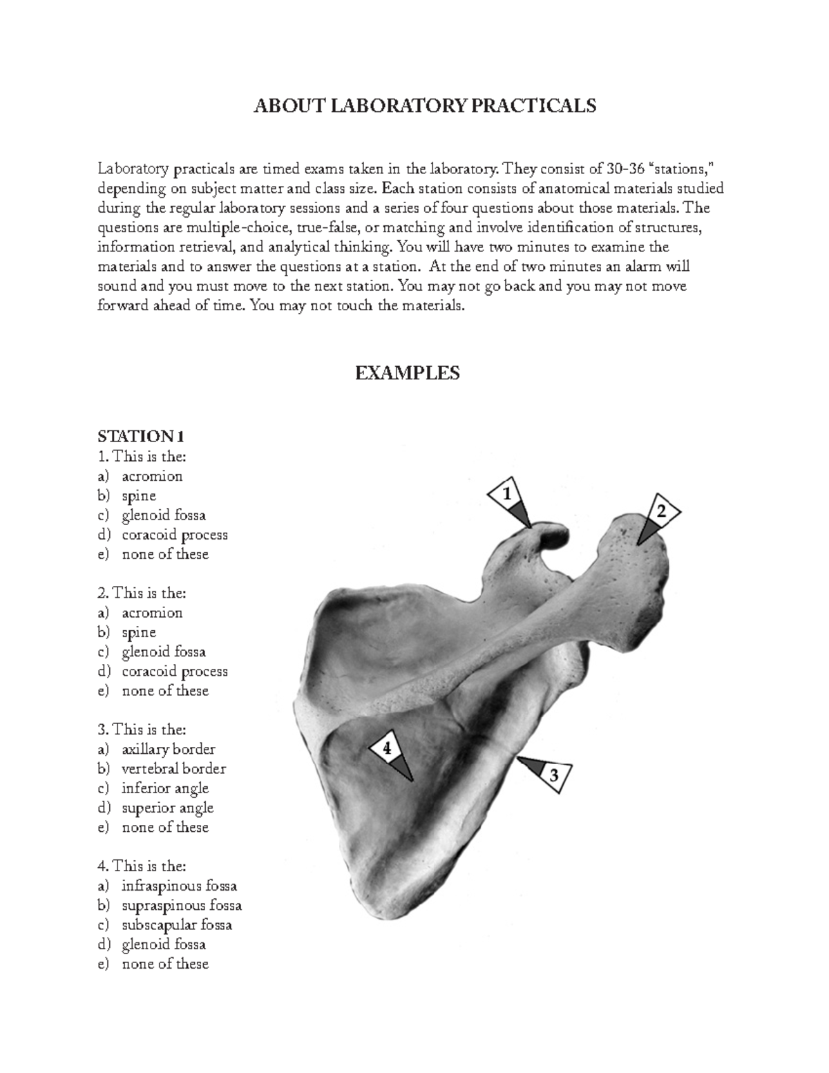 Lab practical sample - Michael Guthrie - ABOUT LABORATORY PRACTICALS ...