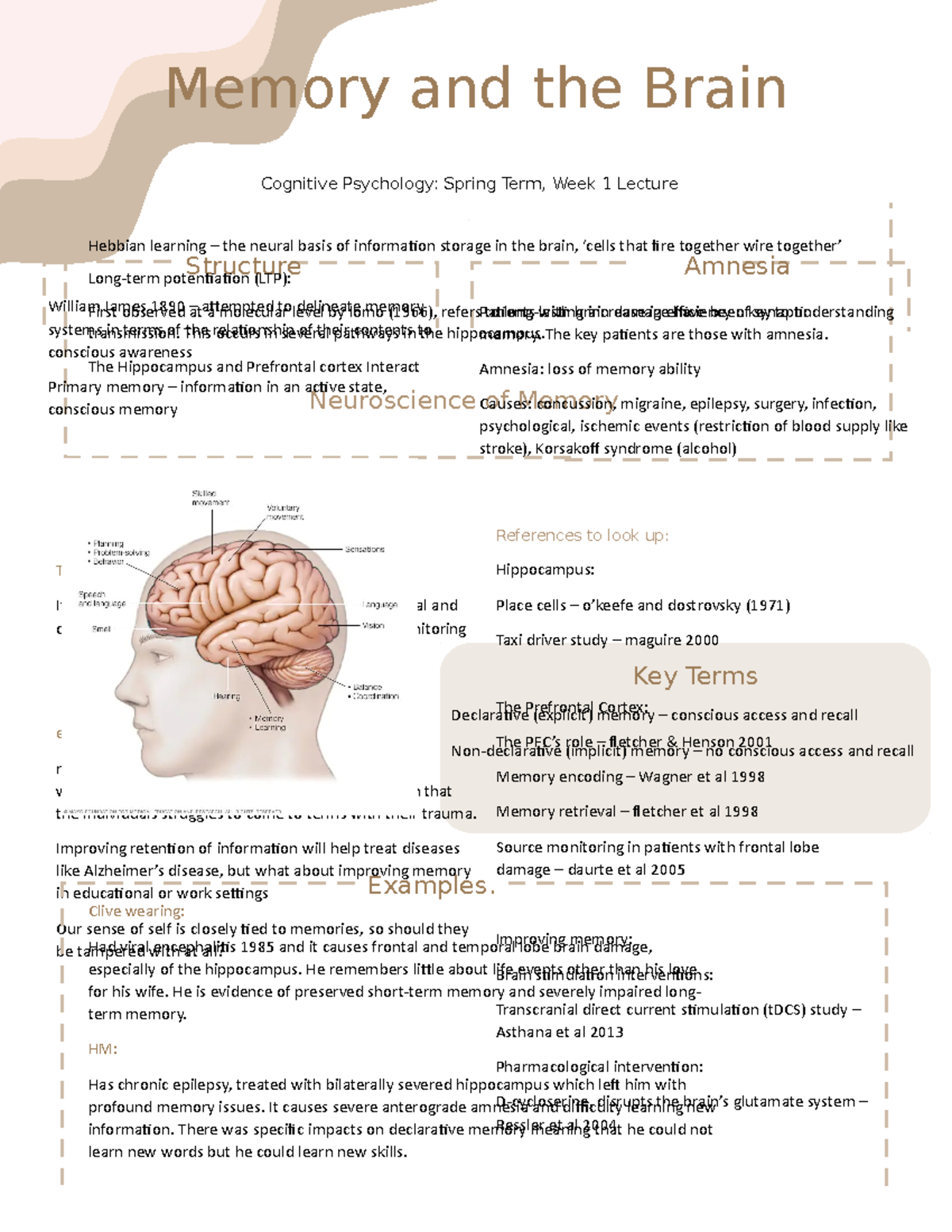 Memory and the Brain - cogntive spring 1 - Memory and the Brain ...