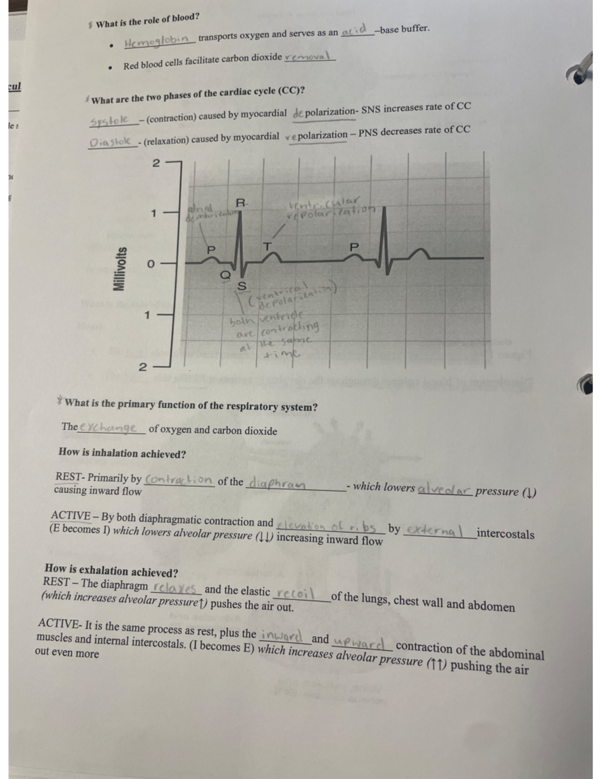 Chapter One Lecture Notes Exs 410 Studocu