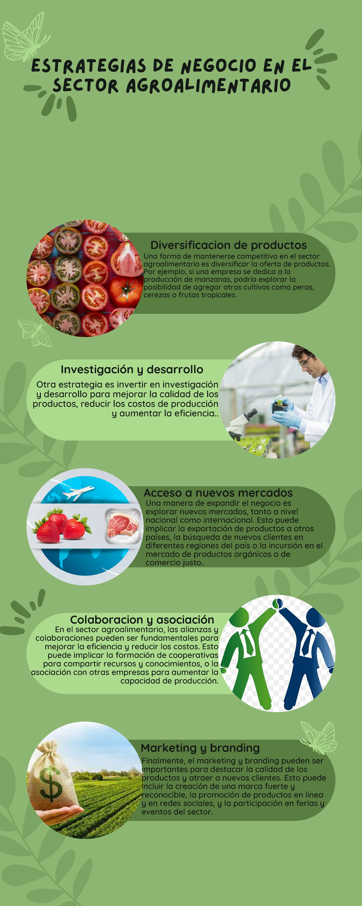 Infografia Estrategias Agroalimentarias - estrategias de negocio en el ...