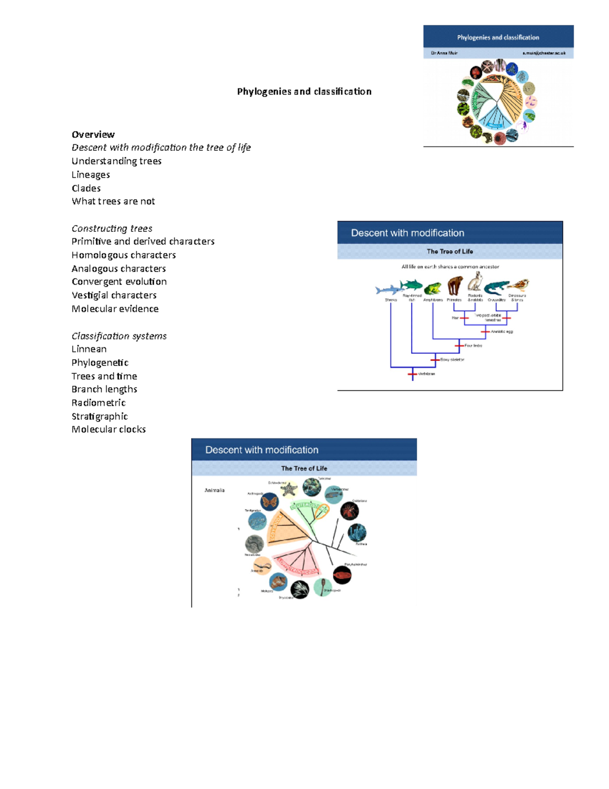 Phylogenies and classification - Phylogenies and classification ...