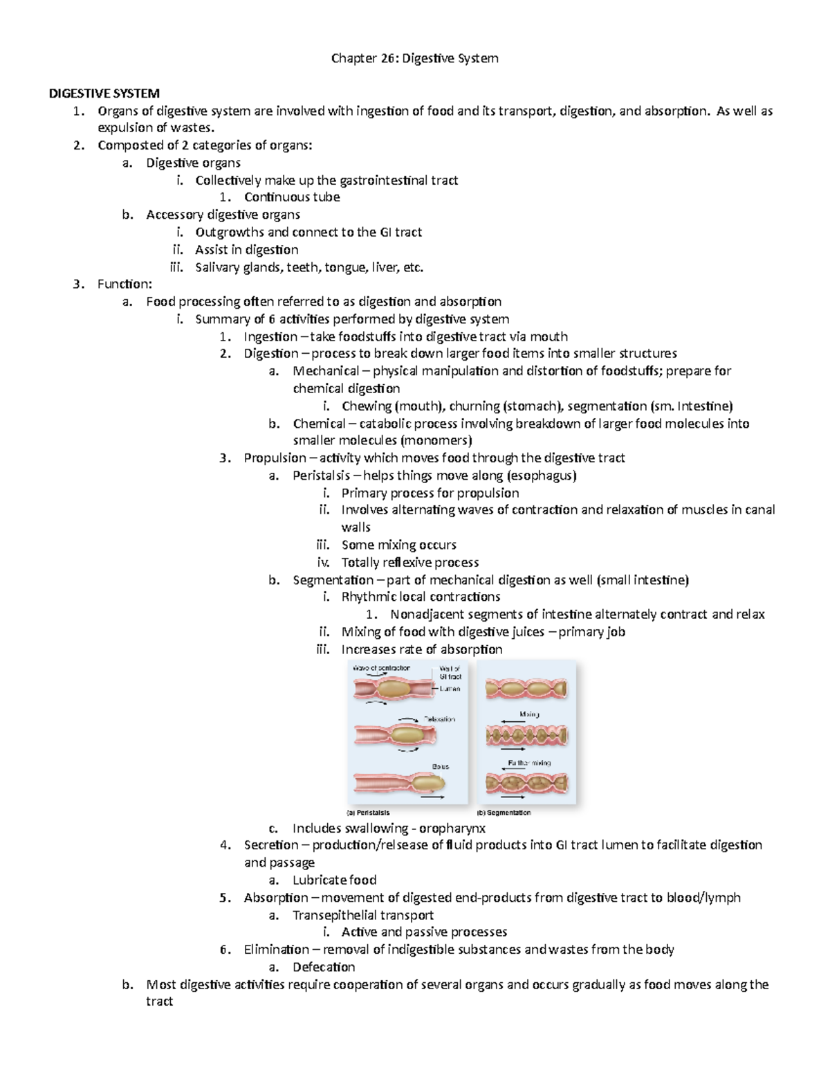 Chapter 26 Review - Chapter 26: Digestive System DIGESTIVE SYSTEM 1 ...