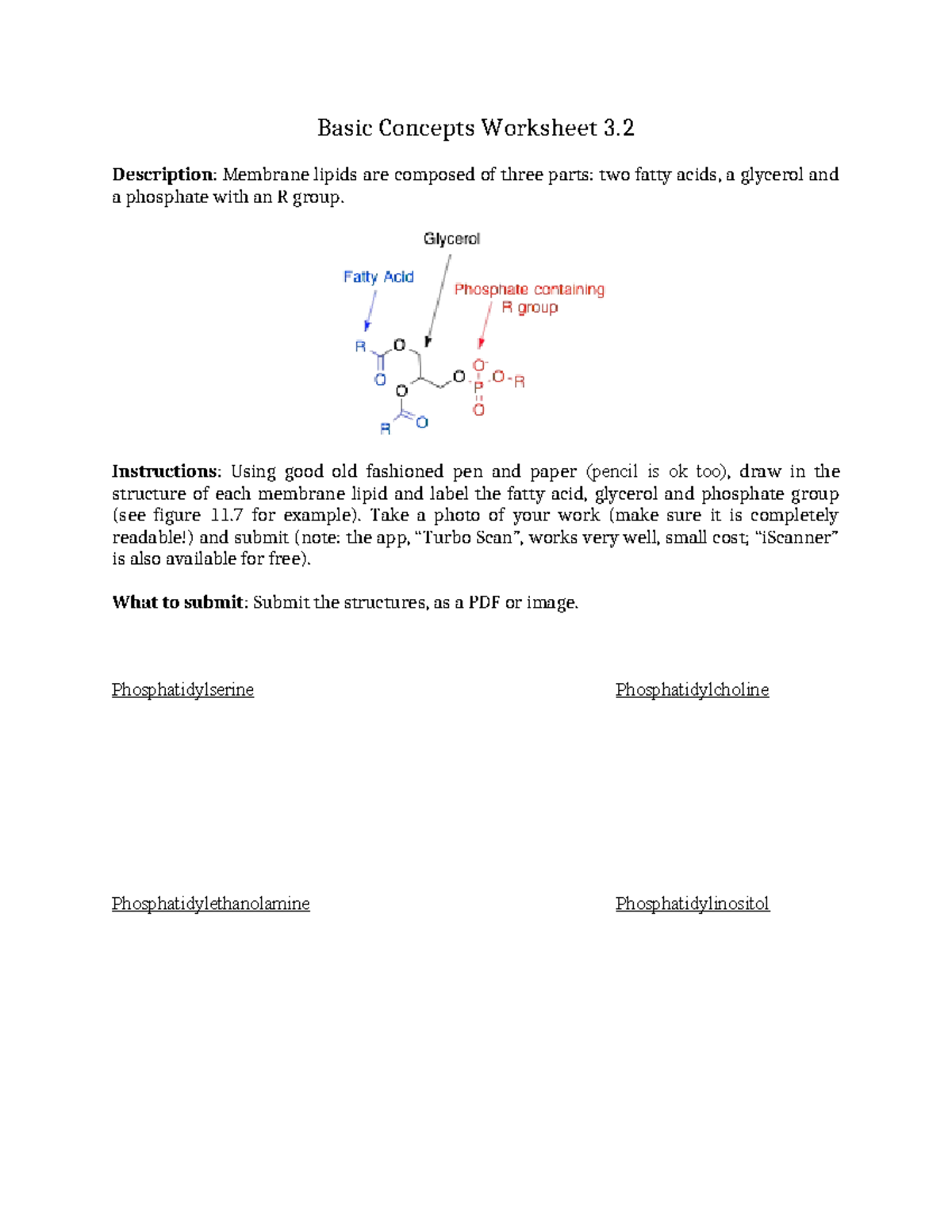 Basic Concept worksheet 3 - Basic Concepts Worksheet 3. Description: Membrane lipids are ...