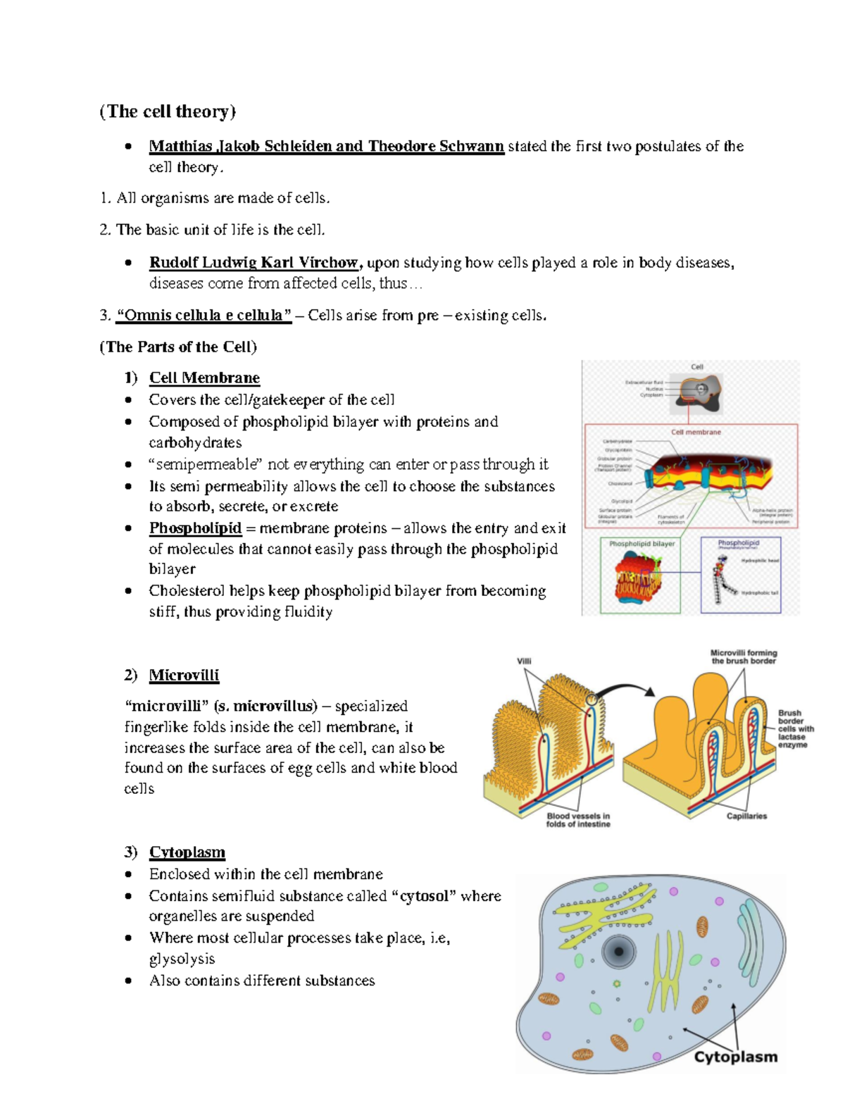 Cell theory parts of cell - (The cell theory) Matthias Jakob Schleiden ...