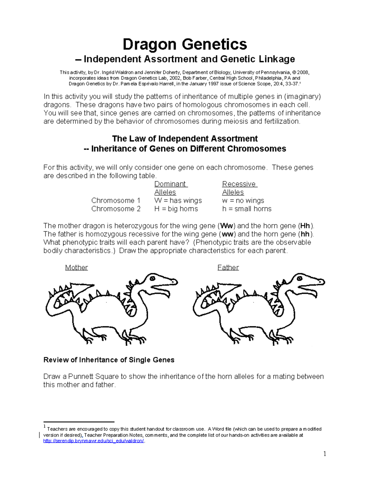 Dragon Genetics 1Protocol - Dragon Genetics - Independent Assortment ...
