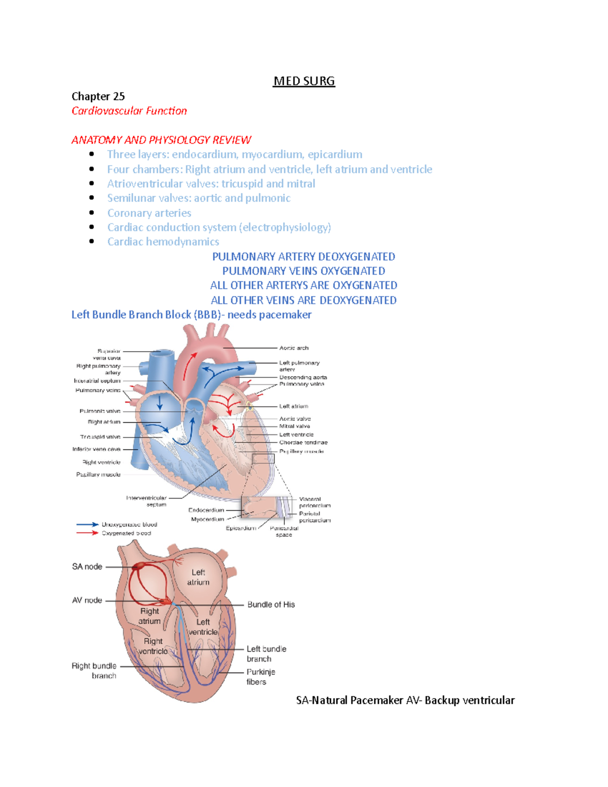 MED SURG Ch. 25 - ch 25 lecture notes - MED SURG Chapter 25 ...