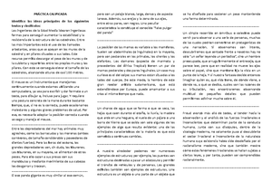 Práctica Integral 5TO SEC - PRÁCTICA INTEGRAL Elija la alternativa que ...