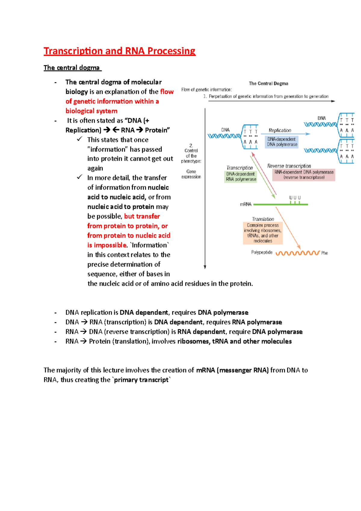 Life Science 1 - Transcription and RNA Processing Notes - Transcription ...