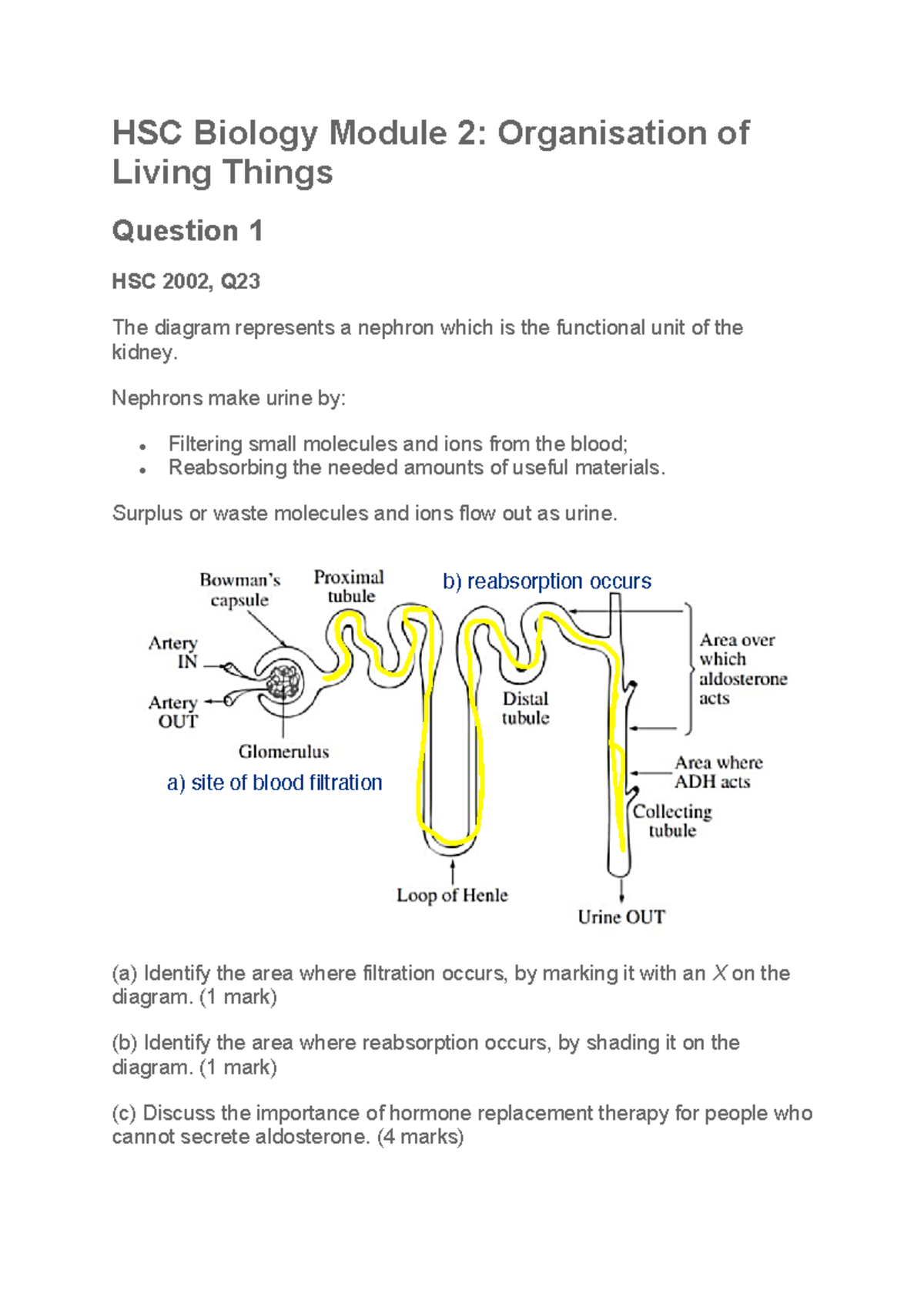 mod 2 questions - HSC Biology Module 2: Organisation of Living Things ...